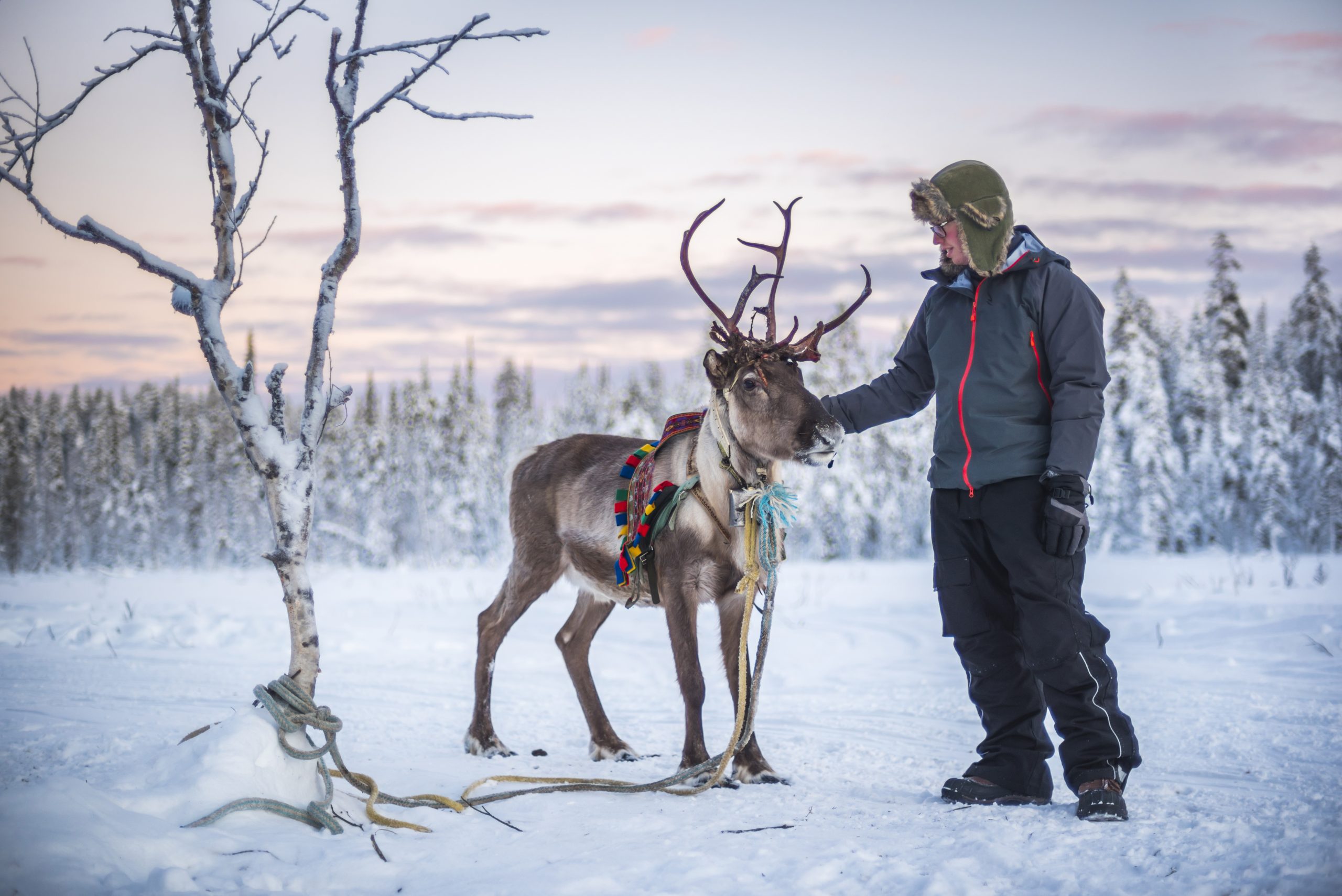 Activities in Lapland | Safaris & Arctic Experiences